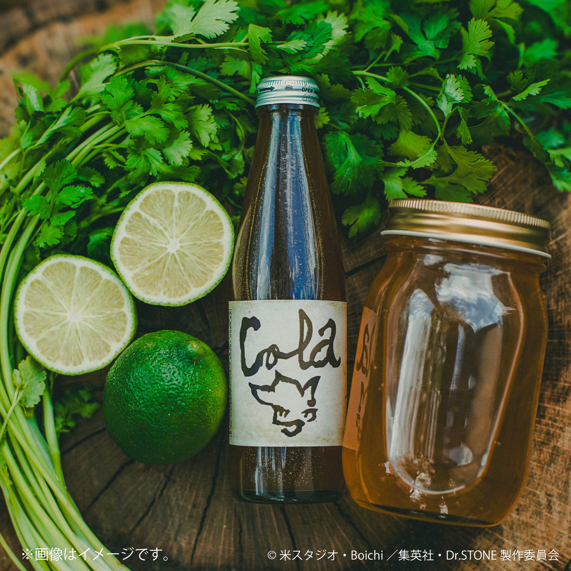 限定商品 – 伊良コーラ オンラインストア